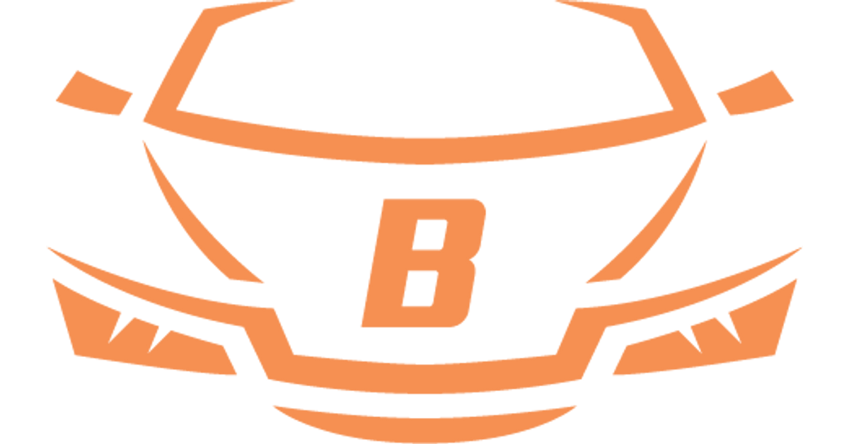 BryGuy Auto Detailing and Supplies